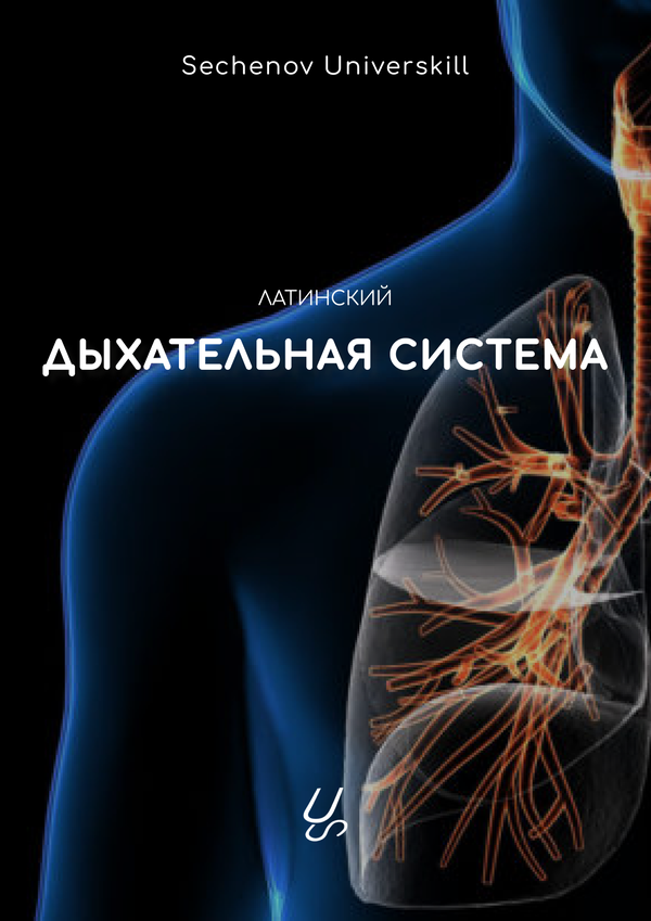 Дыхательная система. Записи блога
